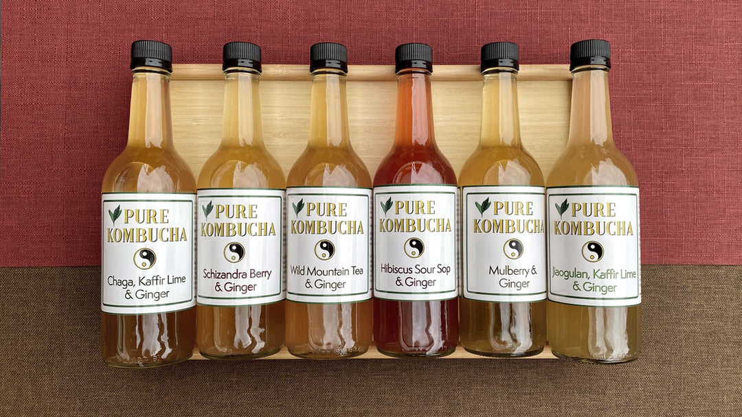 Paul Sherring(Pure Kombucha) – OrientalTeaBox